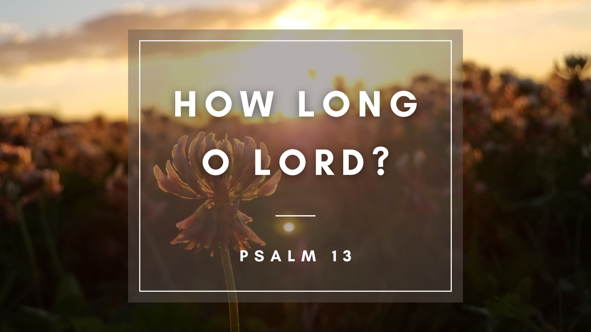 How Long, O Lord? - Redeemer Lutheran Church
